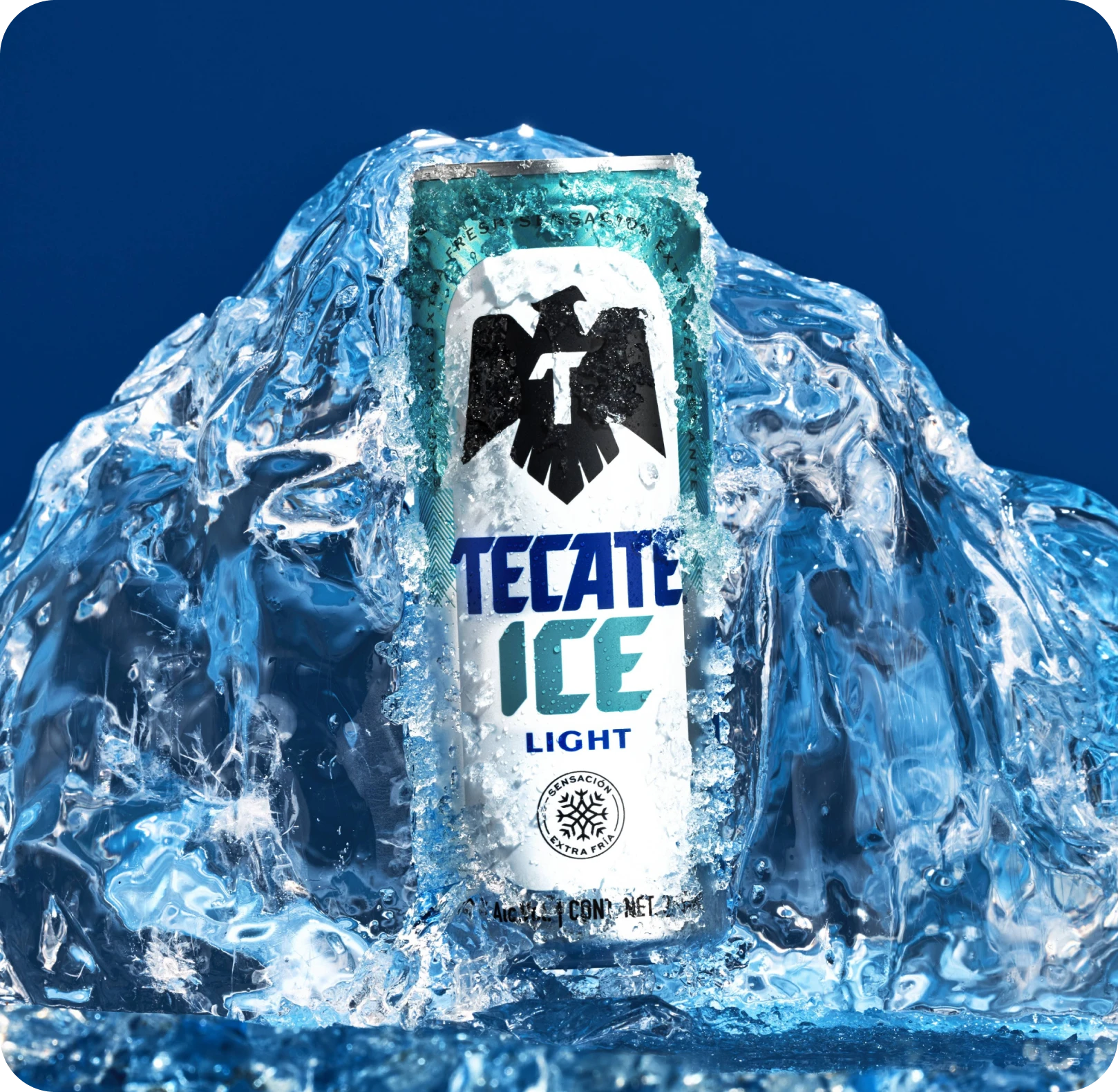 Tecate